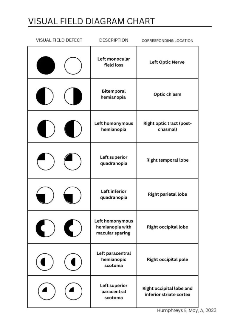 Differentiating Intracranial Pathology Using Visual Fields: a Teaching ...